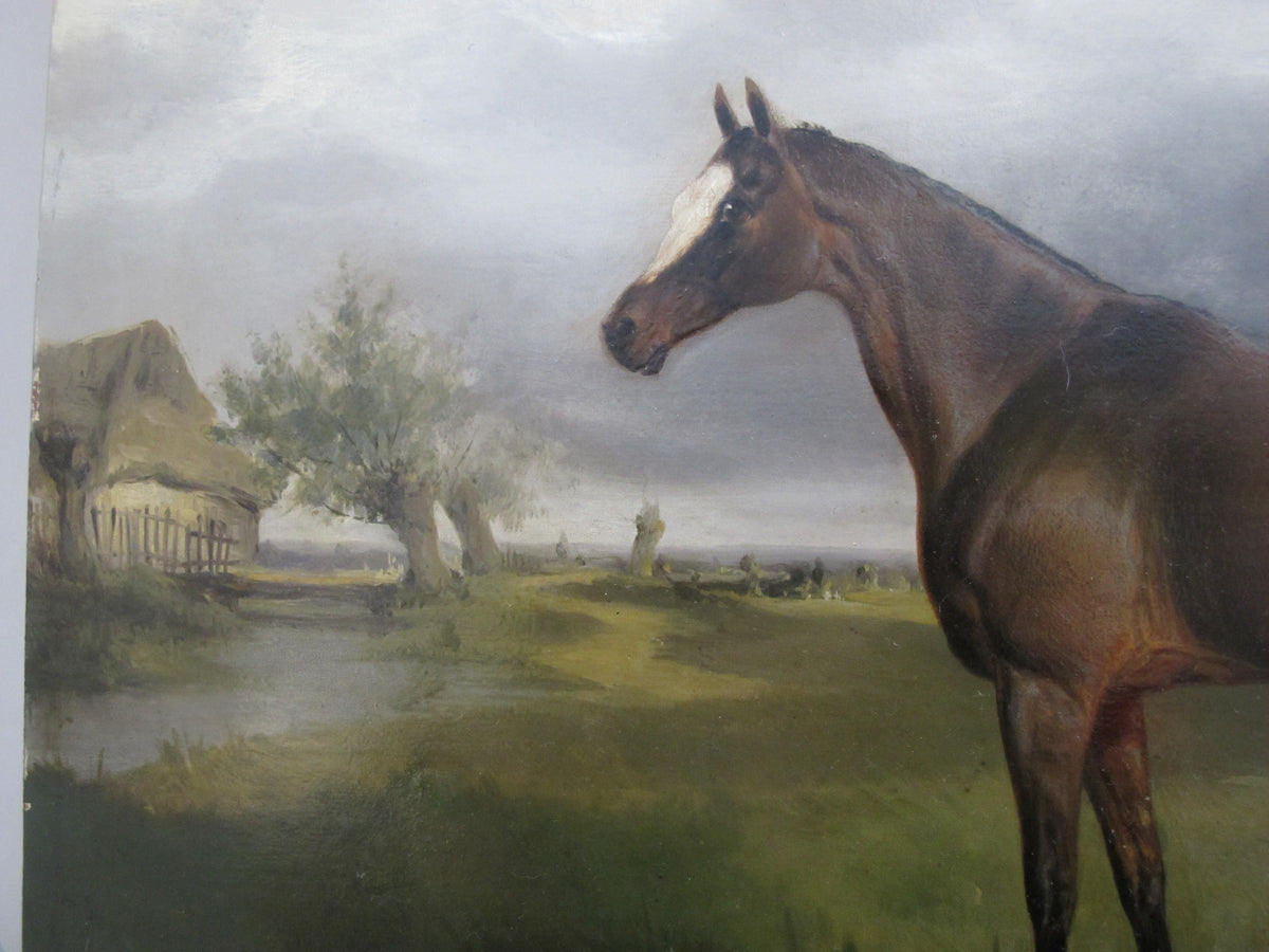 WILLIAM Joseph SHAYER Antique English HORSE Portrait Oil Painting on P ...